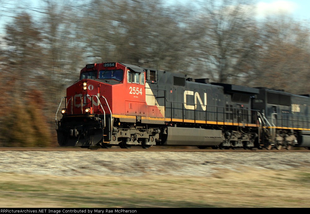 CN 2554